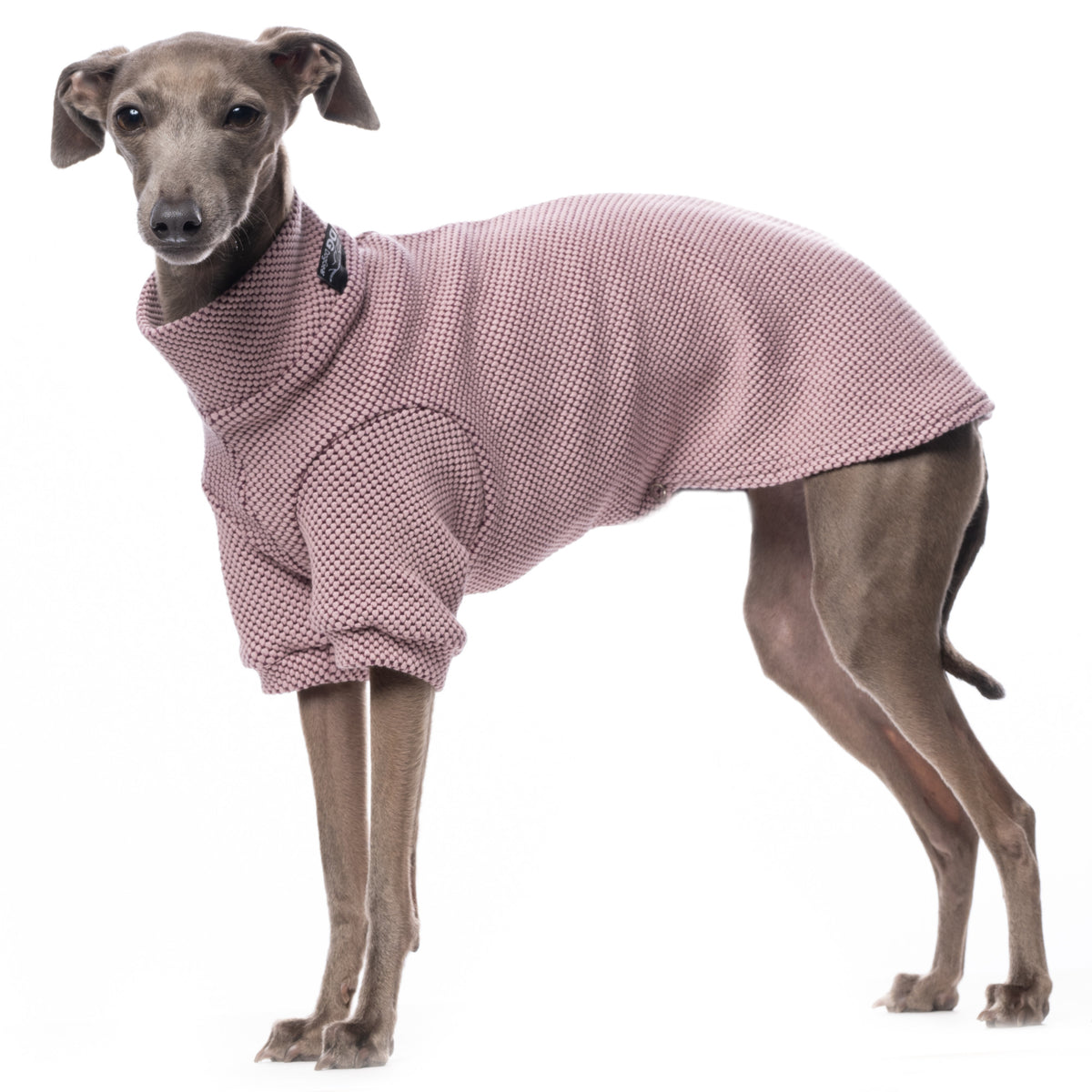 MAGLIETTA "DG URBAN UNDERWEAR WINTER" KEEPSAKE LILAC PER PLI, WHIPPET ...
